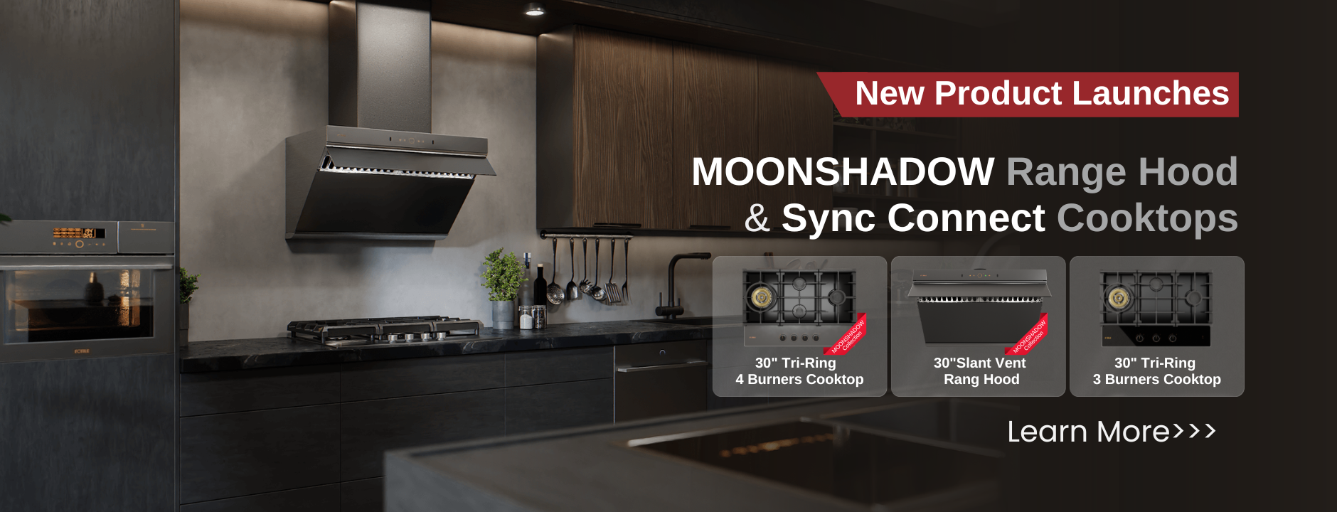 Range Hoods, Cooktops, In-Sink Dishwasher, Ovens | FOTILE